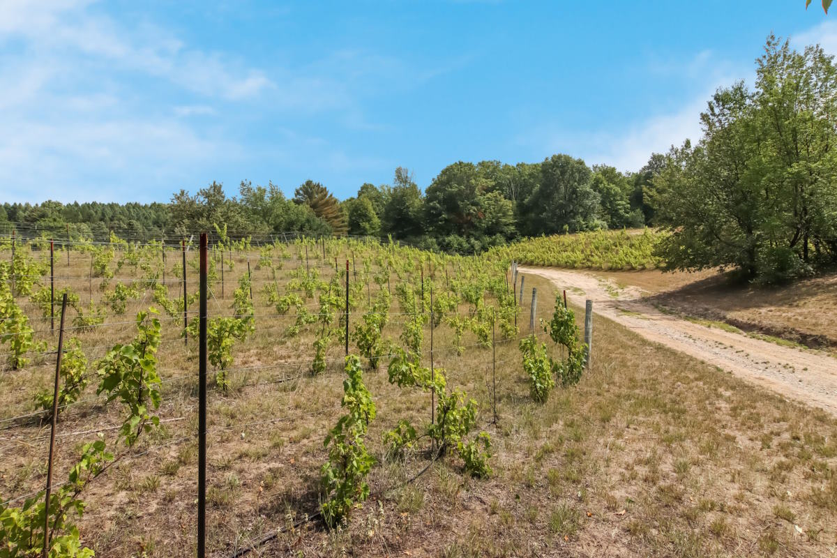 $995k Michigan, USA. Unique Custom Castle For Sale - Castleist