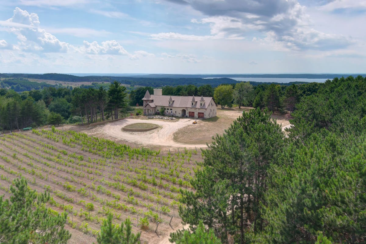 $995k Michigan, USA. Unique Custom Castle For Sale - Castleist