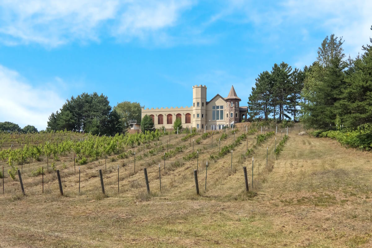 $995k Michigan, USA. Unique Custom Castle For Sale - Castleist